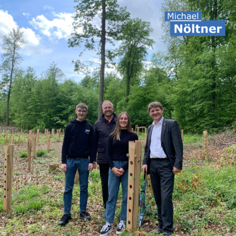 Waldbegehung | Michael Nöltner